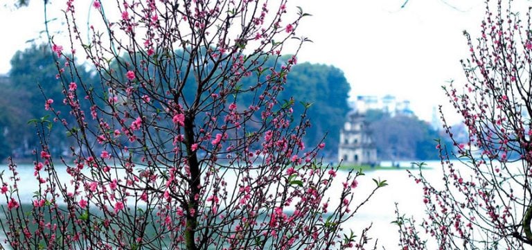 Vietnam in spring - Best places to go